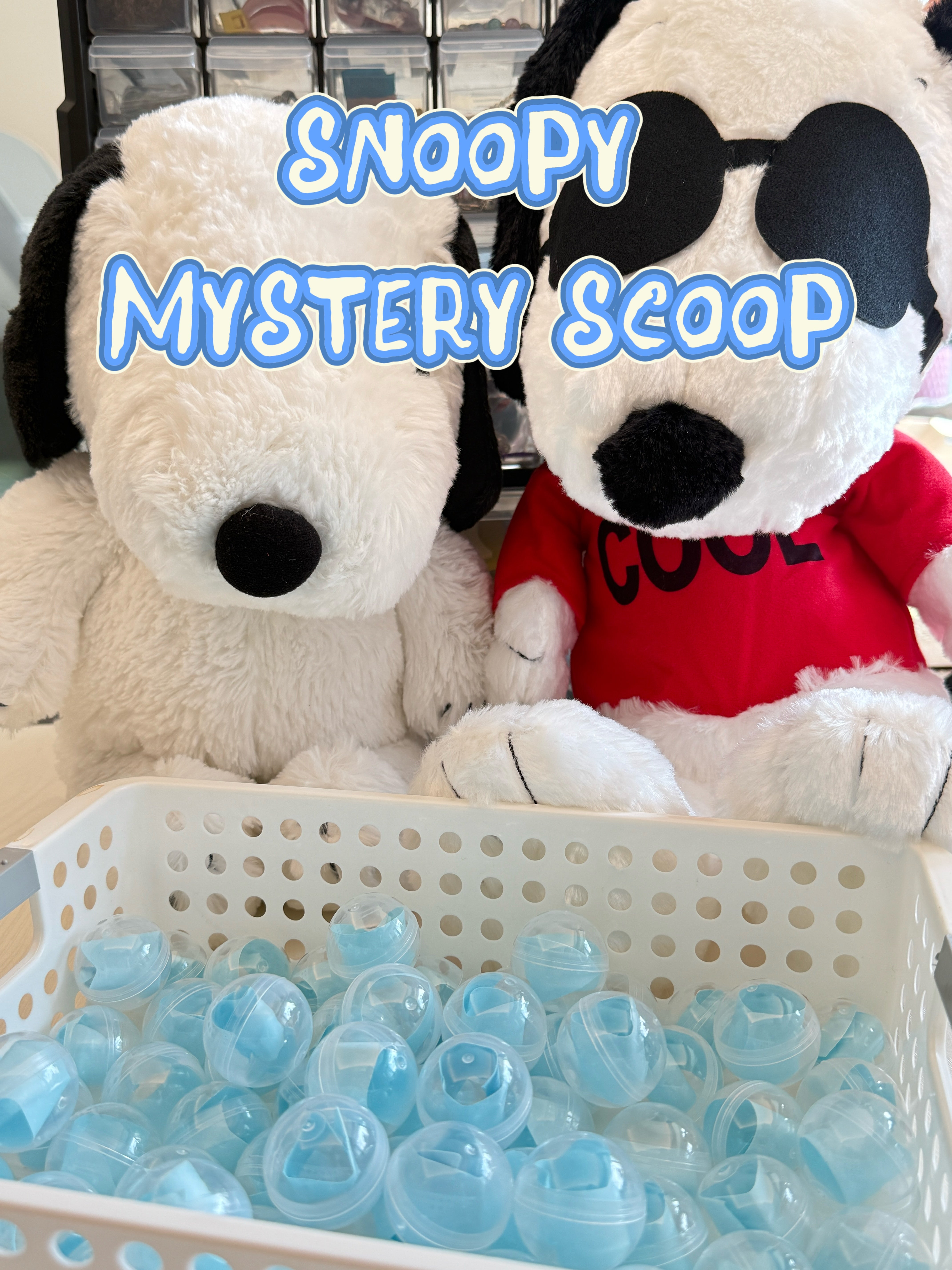 Only Snoopy Mystery Scoop – pawcuddle